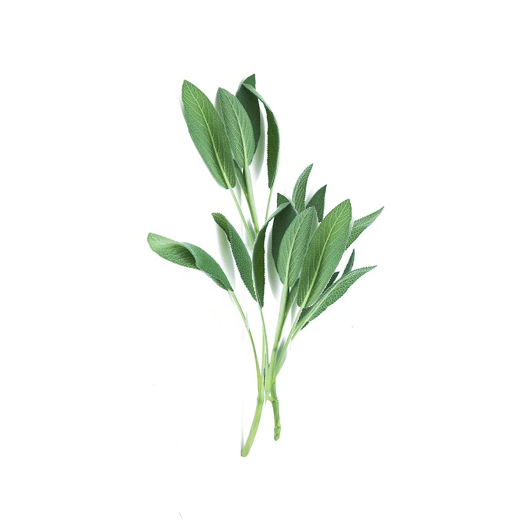 Sage - Pine Fresh Supermarket Australia