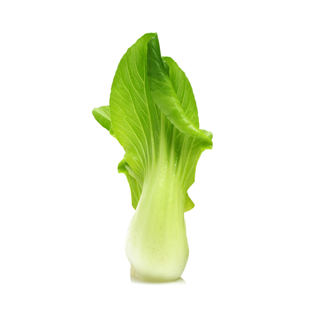 Bok Choy - Pine Fresh Supermarket Australia